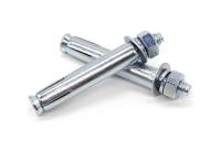 China Wedge Sleeve Type Expansion Anchor Screws M6-M20 Galvanized Carbon Steel 4.8 8.8 for sale
