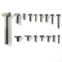 China Custom Nonstandard Steel T Bolts M3 to M52 Carbon Stainless Alloy Steel Various Coatings for sale