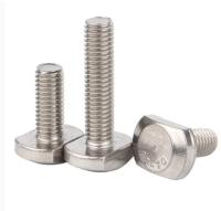 China GB37 Stainless Steel 304/316 T-Bolts M8-M48 for T-Shaped Channel Photovoltaic Clamp Screws for sale