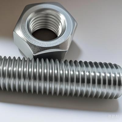 China Right Hand Full Thread Stainless Steel Bolt with Nut OEM Available for sale