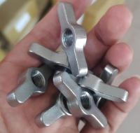 China SS303 Two-Lug Flange Nut 3/8-24UNF-2B Tool-Free Manual Operation Custom Mold Forming for sale