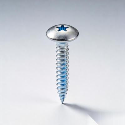 China Truss Head Self Tapping Screws Zinc Plated Carbon Steel with Cross Recessed Drive ST2.2-ST6.3 for sale