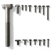 China Custom Nonstandard Steel T Bolts M3 to M52 Carbon Stainless Alloy Steel Various Coatings for sale