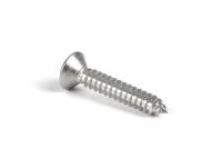 China ISO 1482 Self Tapping Metal Screws with Flat Slotted Countersunk Head - Carbon Steel & Stainless Steel - 5 Million Monthly Capacity for sale
