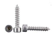 China Stainless Steel Hex Socket Cap Head Self-Tapping Screws FLRS-009T for Drilling Equipment with 5 Million Monthly Capacity for sale