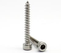 China Stainless Steel Hex Socket Cap Head Self-Tapping Screws FLRS-009T for Drilling Equipment with 5 Million Monthly Capacity for sale