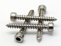 China Stainless Steel Hex Socket Cap Head Self-Tapping Screws FLRS-009T for Drilling Equipment with 5 Million Monthly Capacity for sale