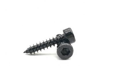 China Carbon Steel Hex Socket Cap Head Self Tapping Screws FLRS-009T | 5M Monthly Capacity | DIN/ISO/ANSI Certified for sale