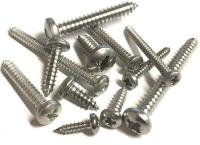 China Stainless Steel 304 316 Plain Pozi PZ Drive Pan Head Self Tapping Screws DIN GB ISO JIS BA ANSI Standards for sale