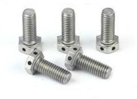 China SS304 SS316 Passivated Hex Head Bolts with Wire Holes - M3 to M72 Size Range, 6mm to 600mm Length for sale