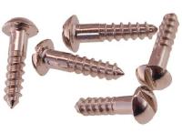 China Metric Slotted Round Head Self Tapping Wood Screws SS304 SS316 Carbon Steel DIN ISO ANSI 5M Monthly Capacity for sale