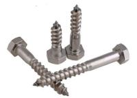 China Hexagon Lag Head Self Tapping Wood Screws DIN 571 Carbon Steel Stainless Steel M6 M8 M10 for sale