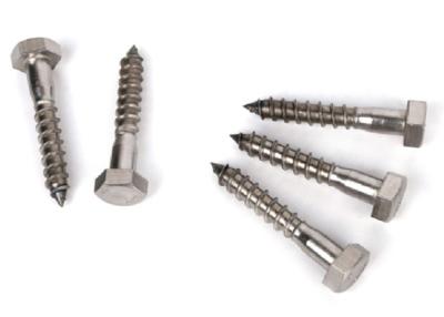 China Hexagon Lag Head Self Tapping Wood Screws DIN 571 Carbon Steel Stainless Steel M6 M8 M10 for sale