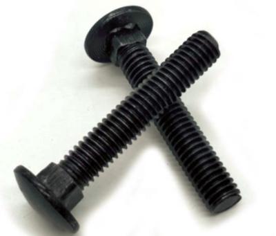 China Square Neck Round Head Bolts M3 to M72 Size Range with Carbon Steel & Stainless Steel Materials for Industrial Applications for sale
