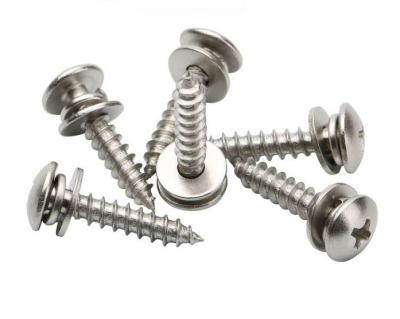 China Customized Cross Recessed Pan Head Tapping Screw & Washer Assembly - Stainless/Carbon Steel, 0.8-M6 Size Range, ±0.05mm Tolerance for sale