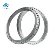 China Carbon Steel & Stainless Steel Plate Flanges 1/2