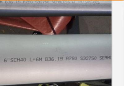 China Seamless SCH10 ASTM A790 12m Duplex Stainless Steel Pipe - 10.3-1219mm OD, 1.24-59.54mm Wall Thickness for sale