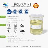 China Polyamine Flocculant for Wastewater Treatment Decoloration and Purification for sale
