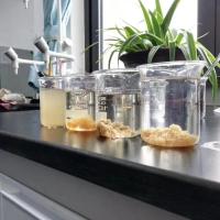 China Cyanide Removal Agent and Water Decoloring Agent for Coking Wastewater with Customizable Concentration Non-Corrosive and Easily Dissolved for sale