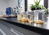 China Sedimentation Sludge Conditioner Coagulant In Water Treatment Chemical Agent for sale