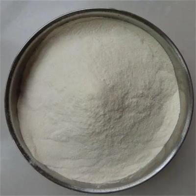 China L-Proline CAS 147-85-3 White Crystalline Powder Soluble in Water for Protein Synthesis and Tissue Repair for sale
