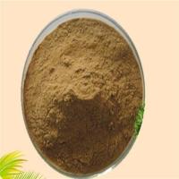 China Saw Palmetto Extract (Serenoa Serrulata Fruit Extract) for Prostate Health Support and Hormonal Balance via Oil Encapsulation Process for sale
