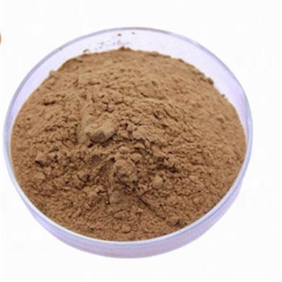China Ginkgo Biloba Extract (GBE) with 24% Ginkgo Biloba Flavonoids and 6% Terpene Lactones for Cognitive Support for sale