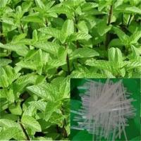 China DL-Menthol L-Menthol Cooling Sensation Flavoring Agent antibacterial Properties medicals and Cosmetics for sale