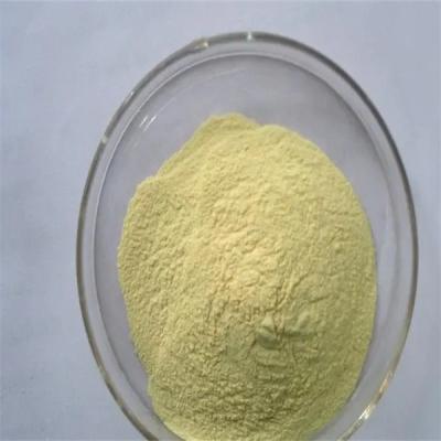 China Baicalein (Scutellaria baicalensis) with Antioxidant Properties, Anti-Inflammatory Effects, and Neuroprotective Benefits for sale