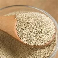 China Instant Dry Yeast with Fast Fermentation Speed, Long Shelf Life, and Small Particle Size for Baking and Food Production for sale