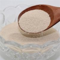 China Instant Dry Yeast Fast Fermentation Speed Long Shelf Life Small Particle Size Baking and Food Production for sale