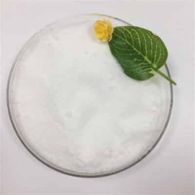 China Magnesium Succinate CAS 556-32-1 Food Grade 99% White Powder Dietary Supplement Mineral Fortifier for sale