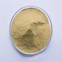 China Celite Diatomite Filtration Aid Absorbent Material and Flow Agent for Industrial Applications for sale