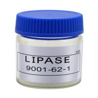 China Lipase Enzyme CAS 9001-62-1 Fat Hydrolysis Flavor Enhancement and Digestive Aid for sale