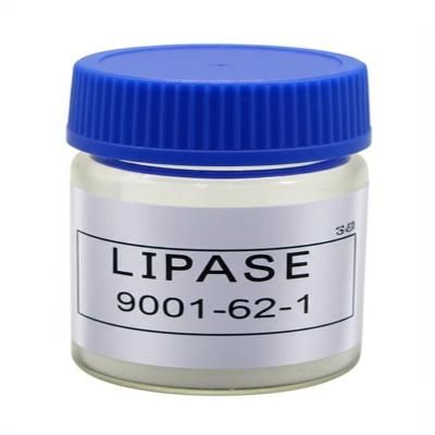 China Lipase Enzyme CAS 9001-62-1 Fat Hydrolysis Flavor Enhancement and Digestive Aid for sale