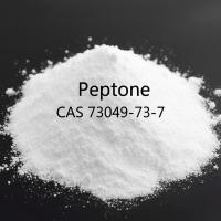 China Peptone Protein Hydrolysate CAS 73049-73-7 Nutrient Source for Culture Medium Component in Microbiology for sale