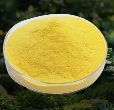 China Acitretin Synthetic Retinoid for Psoriasis Treatment with Keratinocyte Regulation Anti-Inflammatory Properties and Epidermal Renewal for sale