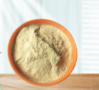 China Yeast Extract CAS 8013-01-2 - Umami Flavor Enhancer and Fermentation Aid for Food and Beverage for sale