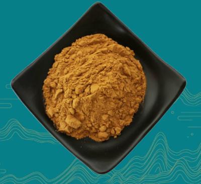 China Theobroma Cacao Extract Cocoa Powder Antioxidant Properties Cardiovascular Health and Mood Enhancement for sale