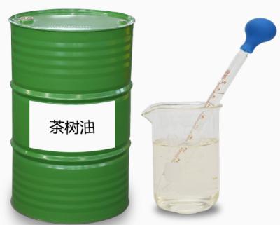 China GC MS Tested Tea Tree Oil Terpinen-4-ol ≥36 antibacterial Action Skincare and Aromatherapy for sale