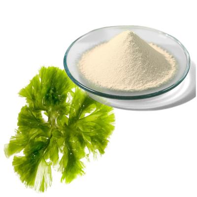 China Vegan Omega-3 Eicosapentaenoic Acid Algae EPA High Purity 90-98 from Sustainable Source for sale