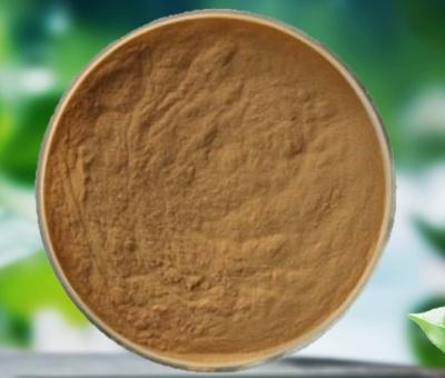 China Tea Polyphenols Green Tea Extract CAS 84650-60-2 — EGCG Antioxidant 20x Stronger Than Vitamin E Photoaging Defense 98 for sale