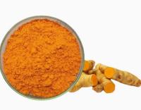 China Turmeric-Derived 95 Curcumin CAS 458-37-7 — Multi-Target Antioxidant Brightening Anti-Inflammatory Power for sale