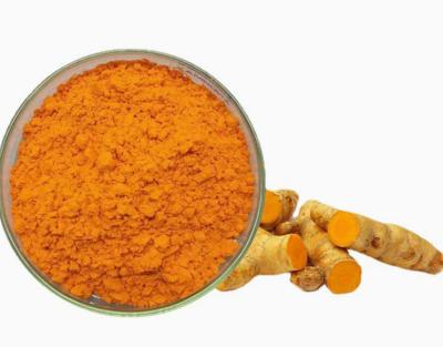 China Turmeric-Derived 95 Curcumin CAS 458-37-7 — Multi-Target Antioxidant Brightening Anti-Inflammatory Power for sale
