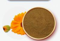 China Calendula Extract CAS 84776-23-8 — Trusted Botanical Soothes Sensitive Skin Clinically Proven Wound-Healing Care for sale