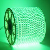 China Luminous Flux 800LM/M RGB LED Flexible Strip Light Voltage DC110V/V220 with for sale
