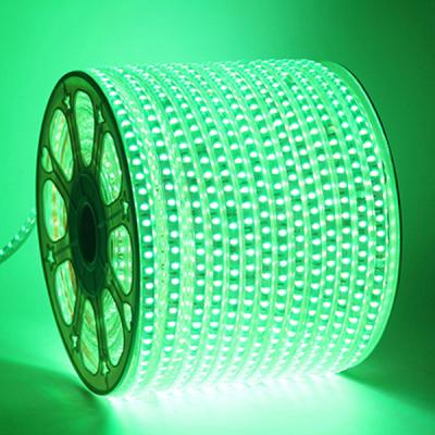 China Luminous Flux 800LM/M RGB LED Flexible Strip Light Voltage DC110V/V220 with for sale
