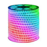 China Alexa-Compatible WIFI LED Strip Lights Waterproof RGB 5050 SMD Smart Rope Lights With IP67 Rating Smartphone APP Control for sale