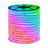China Waterproof RGB 5050 SMD LED Strip Lights With IP67 Rating And 412LM/m Light Output for sale