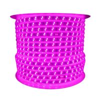 China 85 Ra LED Strip Light Custom Length 50m/100m Rolls With Copper Connector Light Strings for sale